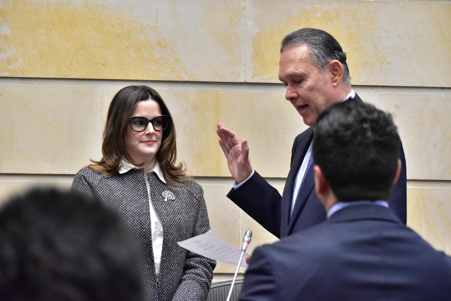 Lina Marcela Escobar es la nueva magistrada de la Corte Constitucional ...