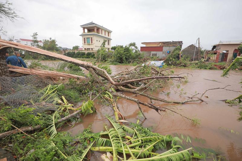 Tifón Bualoi deja 49 muertos en Vietnam - Risaraldahoy.com